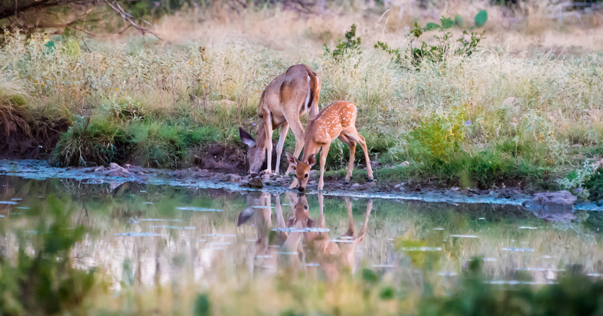 Selah: Water from Stone - National Environmental Treasure