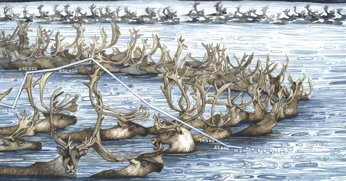 10 awesome artists, artworks, and projects inspired by nature