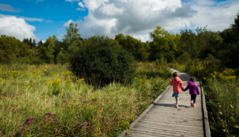 7 community engagement initiatives connecting people to biodiversity